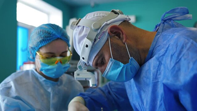 Zitzen Bilder – Durchsuchen 189,435 Archivfotos, Vektorgrafiken und ...