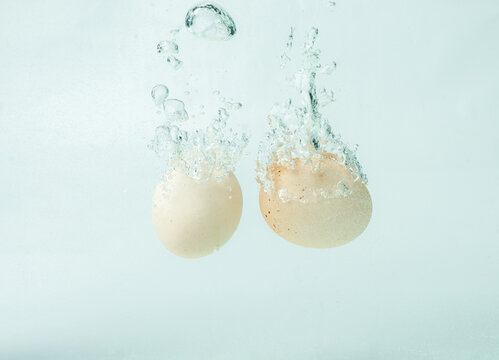 รูปภาพ"In Water" – เลือกดูภาพถ่ายสต็อก เวกเตอร์ และวิดีโอ5,557 | Adobe ...