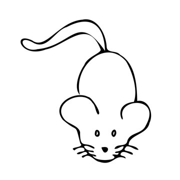 Tikus Images – Browse 251 Stock Photos, Vectors, and Video | Adobe Stock