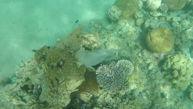 Reff Bilder – Durchsuchen 45,336 Archivfotos, Vektorgrafiken und Videos ...