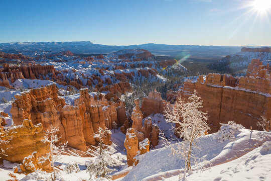 Galyna Andrushko : photos, images, fichiers | Adobe Stock