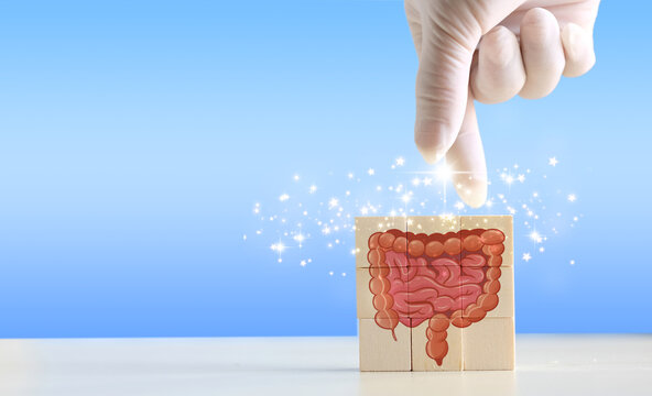 รูปภาพEnteric – เลือกดูภาพถ่ายสต็อก เวกเตอร์ และวิดีโอ61,938 | Adobe Stock