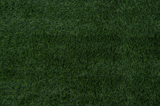 "Fake Grass" Images – Browse 524 Stock Photos, Vectors, and Video ...