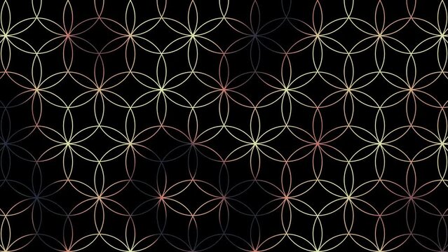 Seed Of Life Wallpaper