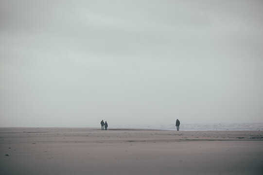 Marg bilder – Bläddra bland 43,766 stockfoton, vektorer och videor ...