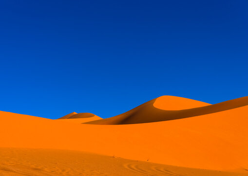 รูปภาพDune – เลือกดูภาพถ่ายสต็อก เวกเตอร์ และวิดีโอ708,580 | Adobe Stock