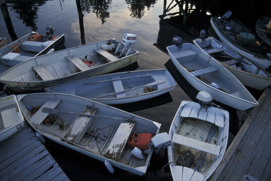 Dingie Images – Browse 12 Stock Photos, Vectors, and Video | Adobe Stock