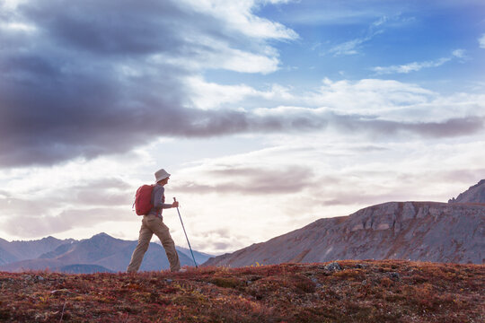 Galyna Andrushko : photos, images, fichiers | Adobe Stock