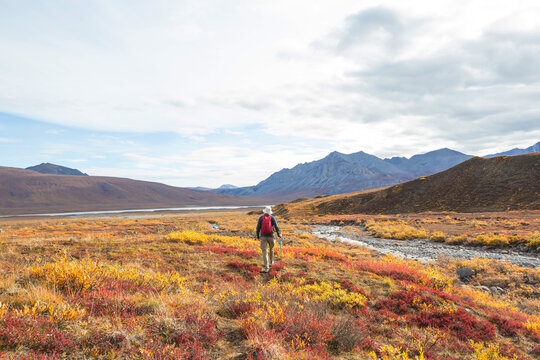 Galyna Andrushko : photos, images, fichiers | Adobe Stock