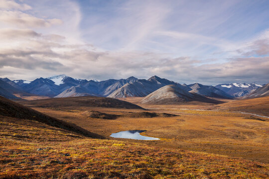 Galyna Andrushko : photos, images, fichiers | Adobe Stock