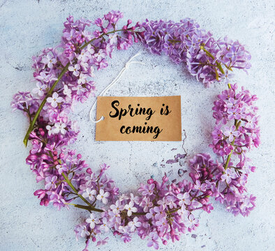 "Spring Is Coming" Images – Browse 2,142 Stock Photos, Vectors, and ...