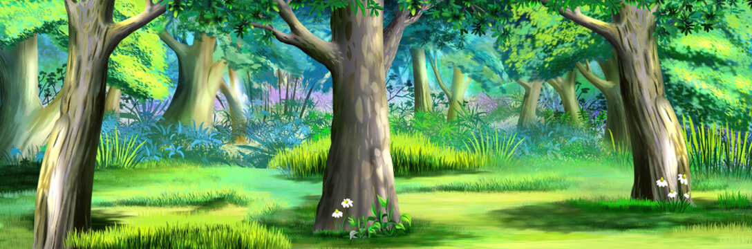 Pokemon Cartoon Forest Background
