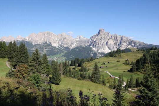 Sass Bilder – Durchsuchen 3,749 Archivfotos, Vektorgrafiken und Videos ...