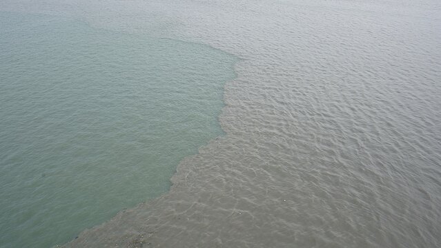 "Brackish Water" Images – Browse 4,788 Stock Photos, Vectors, and Video ...