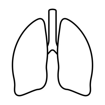 Lung Outline Bilder – Durchsuchen 15,932 Archivfotos, Vektorgrafiken ...