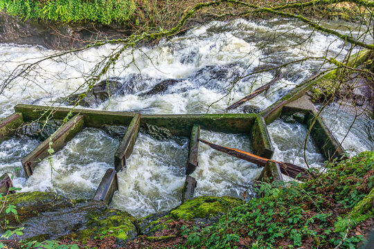 "Fish Ladders" Images – Browse 3,293 Stock Photos, Vectors, and Video ...