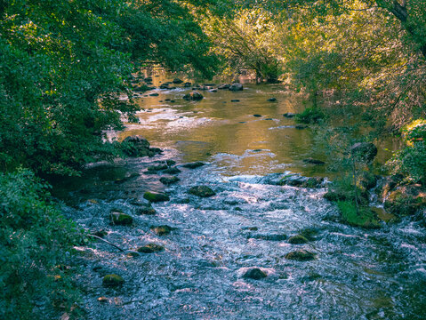 「Muga」の写真素材 | 577件の無料イラスト画像 | Adobe Stock