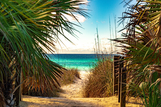Beach Life