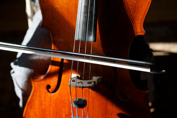 10+ Free Cello Photos | Free HD Downloads - Pikwizard