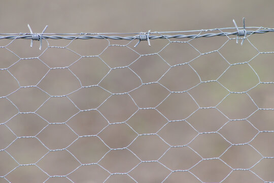 รูปภาพBarb-Wire – เลือกดูภาพถ่ายสต็อก เวกเตอร์ และวิดีโอ151 | Adobe Stock