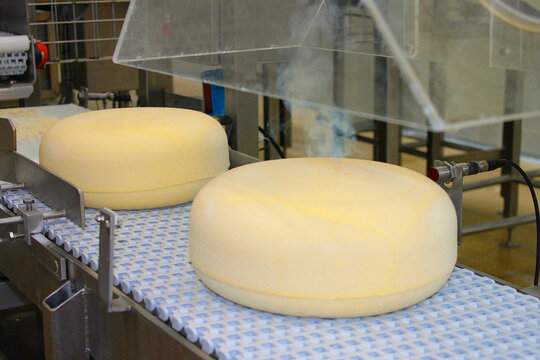 รูปภาพCheese-Maker – เลือกดูภาพถ่ายสต็อก เวกเตอร์ และวิดีโอ1,021 ...