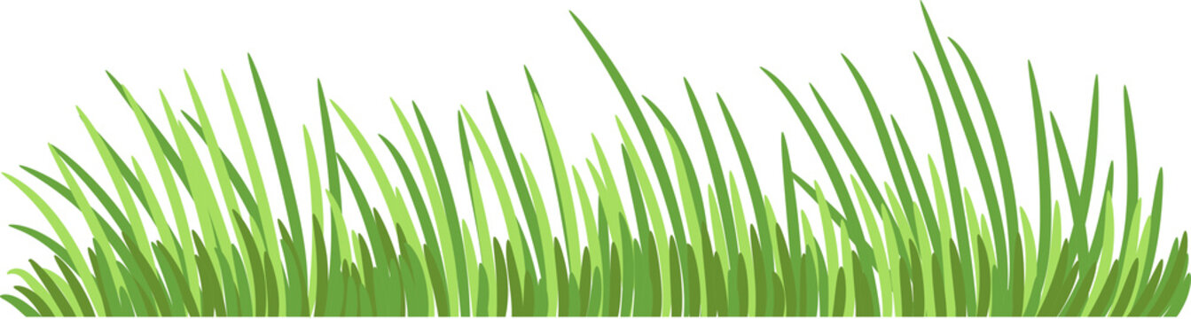 Grass Clipart No Background