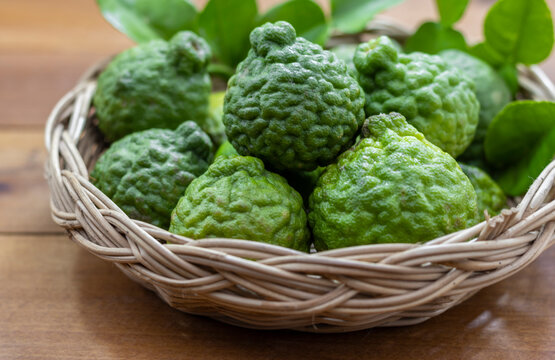 Makrut Images – Browse 617 Stock Photos, Vectors, and Video | Adobe Stock