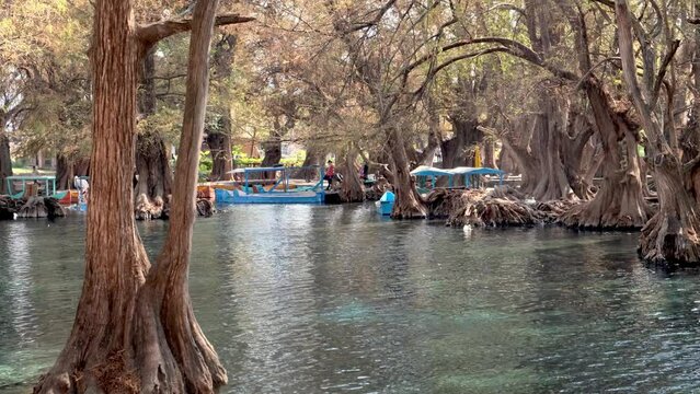 รูปภาพCamecuaro – เลือกดูภาพถ่ายสต็อก เวกเตอร์ และวิดีโอ380 | Adobe Stock