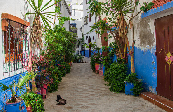 รูปภาพArgant – เลือกดูภาพถ่ายสต็อก เวกเตอร์ และวิดีโอ383 | Adobe Stock