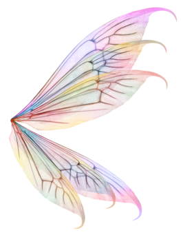 Fairy Wings Side View Png