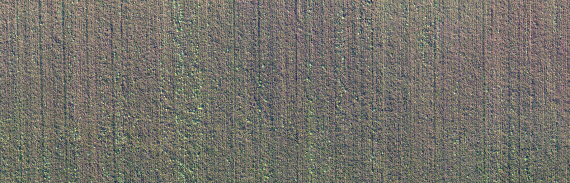 "Cultivated Land" Images – Browse 3,012,477 Stock Photos, Vectors, and ...