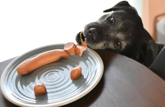 รูปภาพSosige – เลือกดูภาพถ่ายสต็อก เวกเตอร์ และวิดีโอ947,839 | Adobe Stock