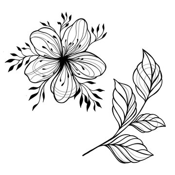 Almond Tree Branch Tattoo