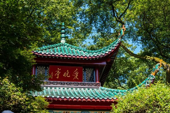 รูปภาพPantile – เลือกดูภาพถ่ายสต็อก เวกเตอร์ และวิดีโอ1,267 | Adobe Stock