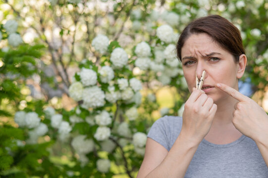 Snuffles Bilder – Durchsuchen 4,601 Archivfotos, Vektorgrafiken und ...