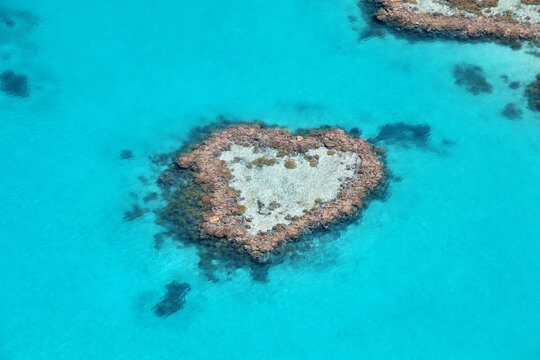 "Heart Reef"-Bilder: Stock-Fotos & -Videos. | Adobe Stock