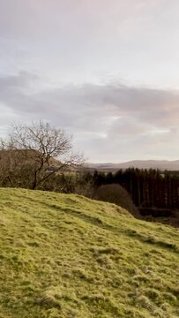 Wainwright Images – Browse 3,198 Stock Photos, Vectors, and Video ...