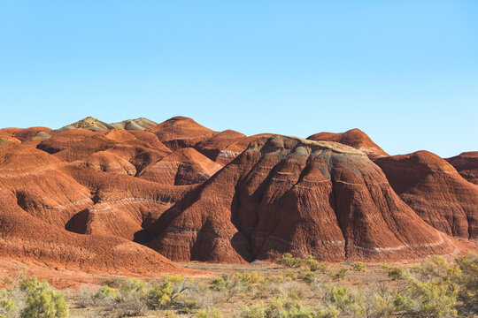 Saksaul Bilder – Durchsuchen 185 Archivfotos, Vektorgrafiken und Videos ...