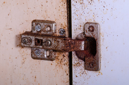 Rusty Door Hinge