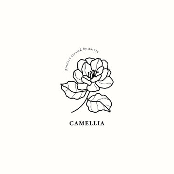 Camellia Line Art Images – Browse 1,443 Stock Photos, Vectors, and ...