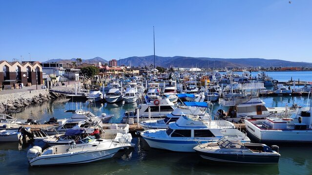 Ensenada bilder – Bläddra bland 2,786 stockfoton, vektorer och videor ...
