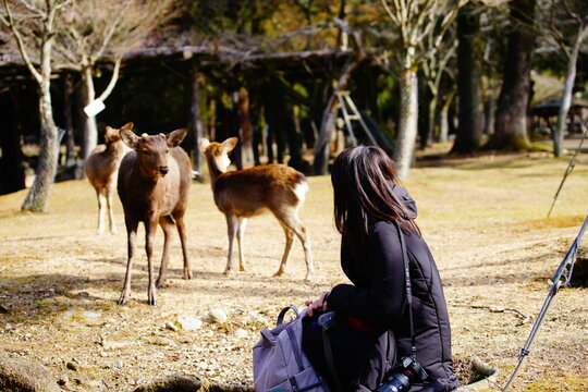 rika_portrait 写真、画像、アセット | Adobe Stock