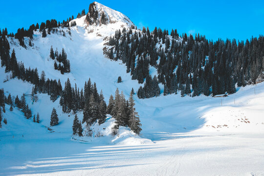 「Fsdf」の写真素材 | 28件の無料イラスト画像 | Adobe Stock