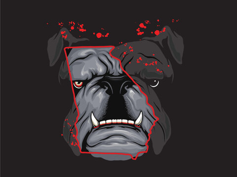 Fierce Bulldog Images – Browse 1,506 Stock Photos, Vectors, and Video ...
