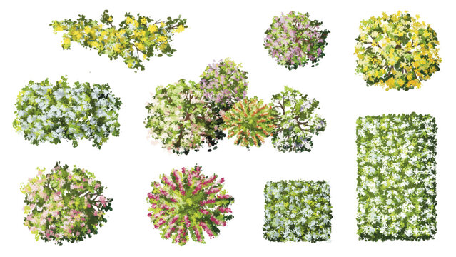 Shrubs Plan View Images – Browse 12,598 Stock Photos, Vectors, and ...