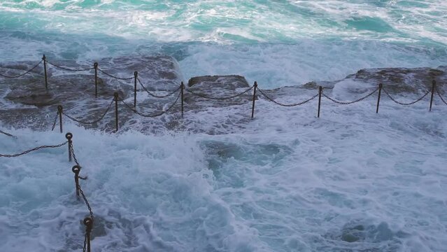 "Roll Over" Images – Browse 14,996 Stock Photos, Vectors, and Video ...