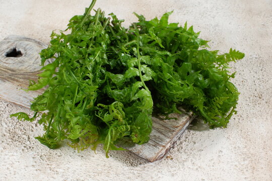 รูปภาพPaku – เลือกดูภาพถ่ายสต็อก เวกเตอร์ และวิดีโอ1,066 | Adobe Stock