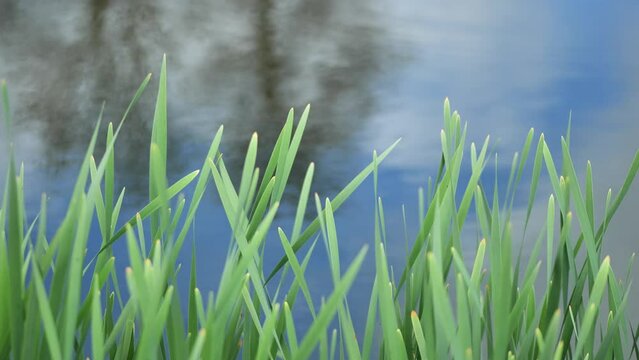 รูปภาพRaupo – เลือกดูภาพถ่ายสต็อก เวกเตอร์ และวิดีโอ249 | Adobe Stock