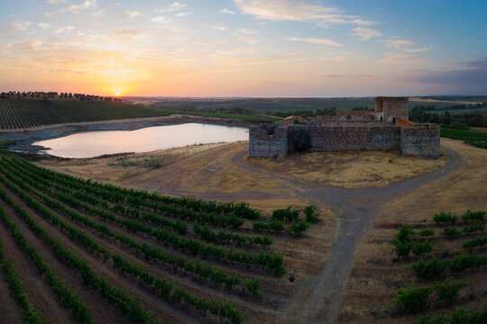 「Valongo」の写真素材 | 114件の無料イラスト画像 | Adobe Stock