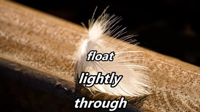 Lightly Bilder – Durchsuchen 12,186 Archivfotos, Vektorgrafiken und ...